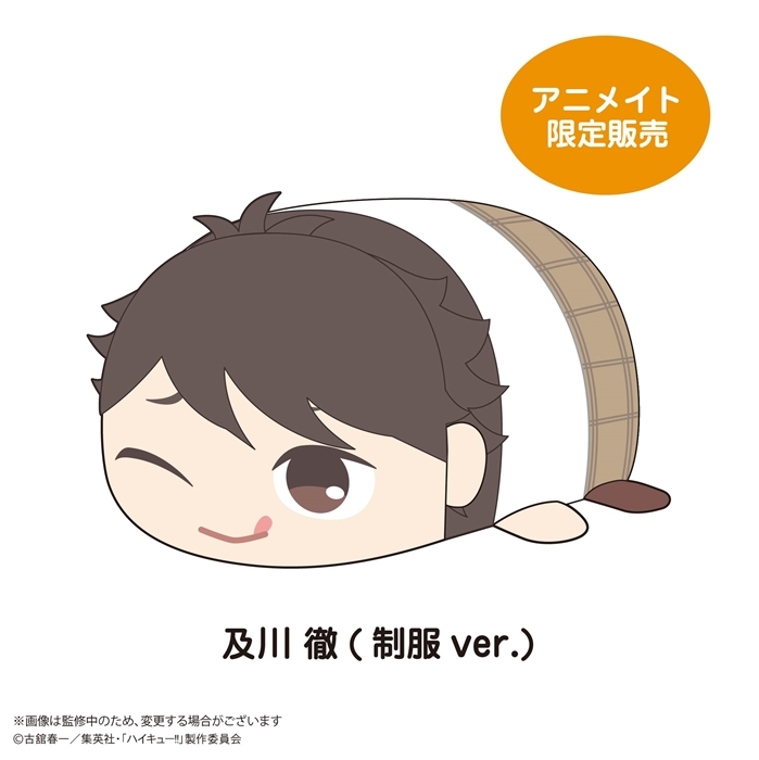 애니메이트코리아 온라인샵,하이큐